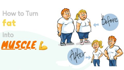 How to Turn Fat into Muscle [LESS Known Facts]
